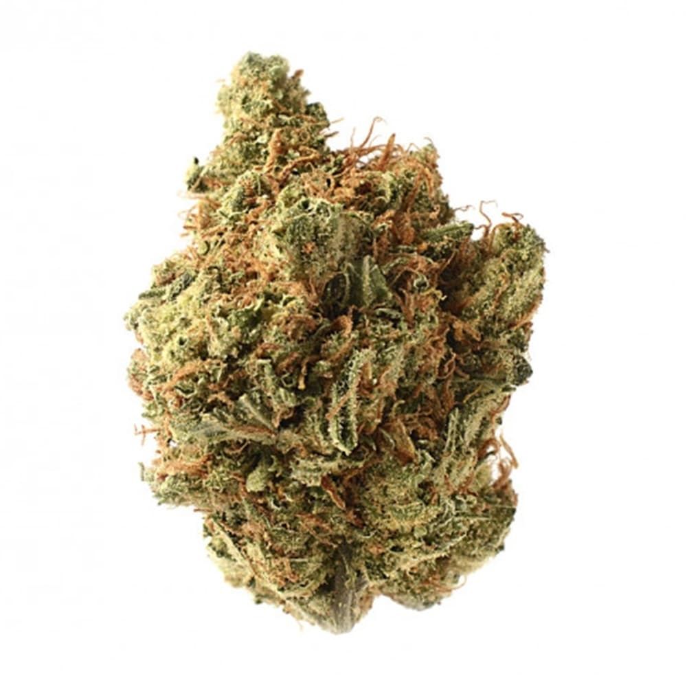 Buy Haze XL Autoflower Seeds by SeedSupreme | SeedSupreme