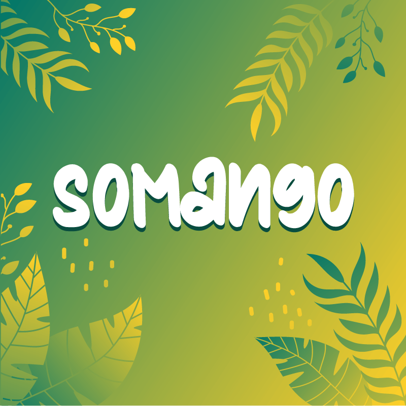 Buy Somango Feminized Seeds by SeedSupreme | SeedSupreme