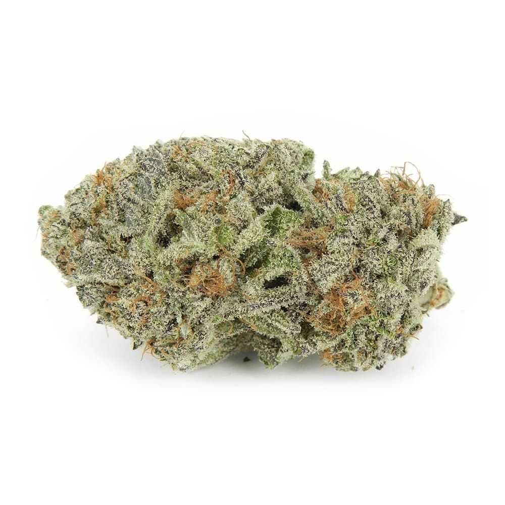 Buy White Rhino Feminized Seeds by SeedSupreme | SeedSupreme