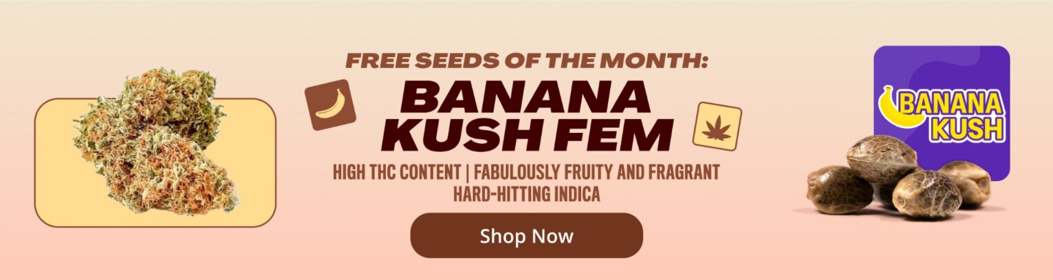 Seed Supreme | The Largest Cannabis Seed Bank in the USA