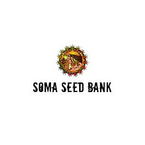 Cannabis Seed Banks | Marijuana Seed Banks| Seed Supreme