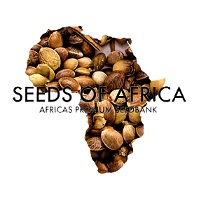 Cannabis Seed Banks | Marijuana Seed Banks| Seed Supreme