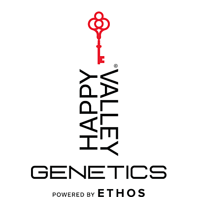 Happy Valley Genetics Seeds - Now at Seed Supreme